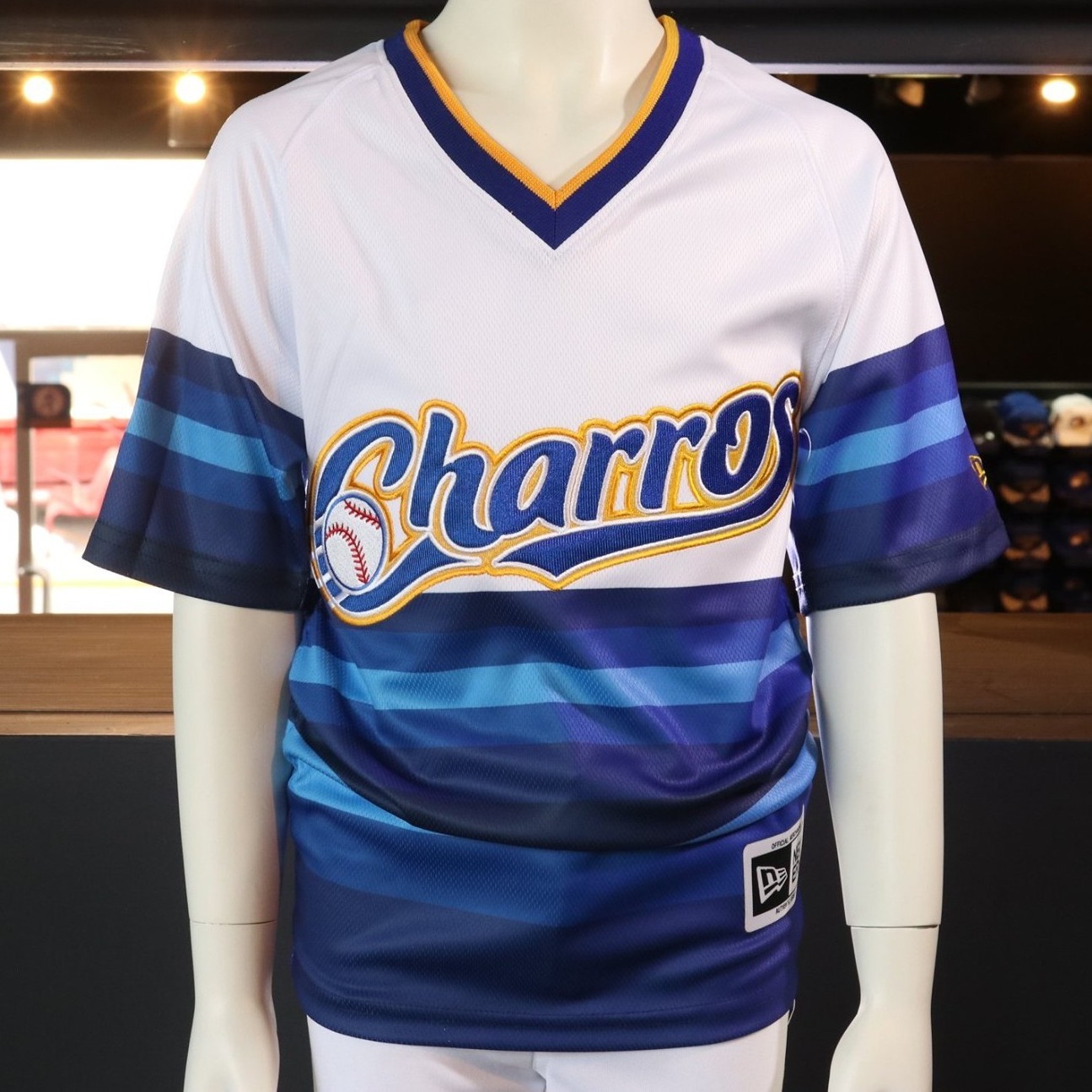 LMP 2019 Jerseys