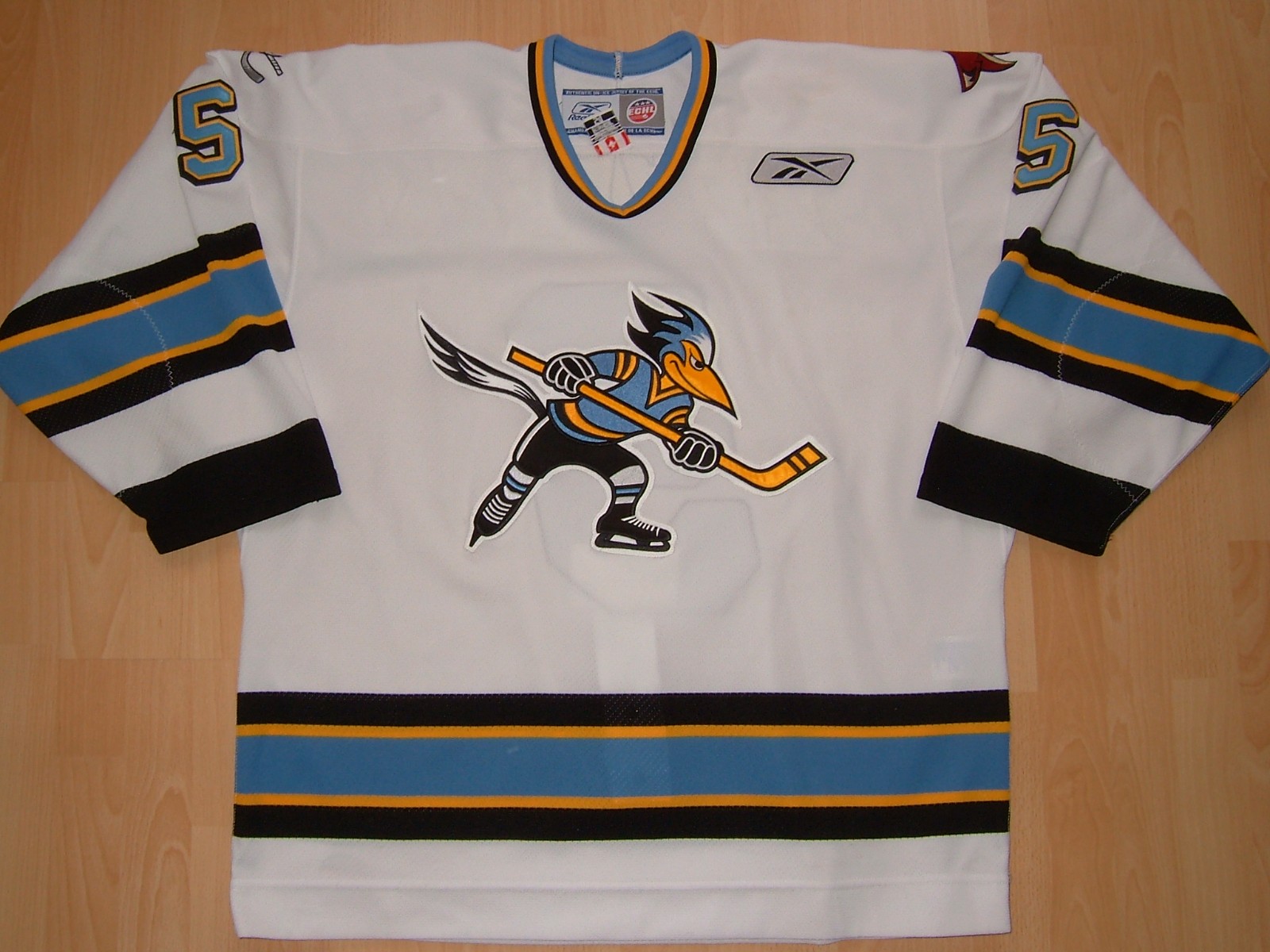 Phoenix Roadrunners 2006-07 Jerseys